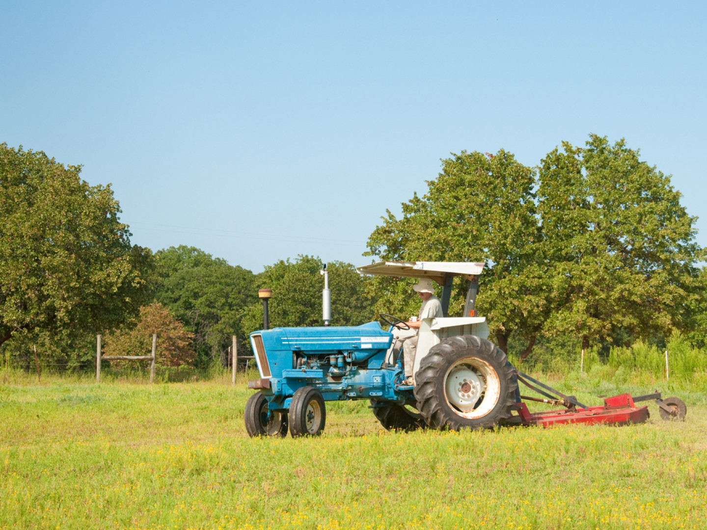 Bush Hogging Services | Lafayette, LA: Lafayette, LA: Morgan's Lawn ...